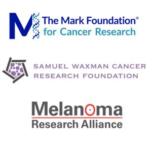 Grantees selected for The Mark Foundation for | EurekAlert!