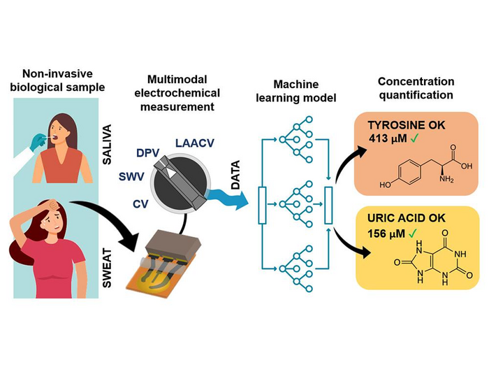 Biosensors IMAGE EurekAlert Science News Releases