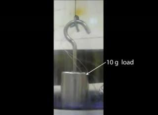 Spinning a Yarn: Twisting Motion Makes Artifi | EurekAlert!