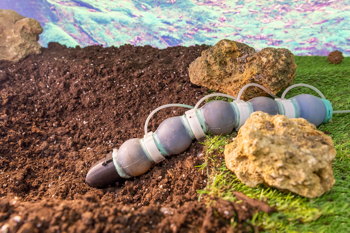 The new bioinspired earthworm [IMAGE] | EurekAlert! Science News Releases