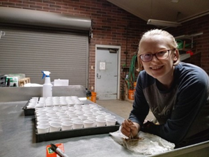 Eliminating uranium from the food chain: Are | EurekAlert!