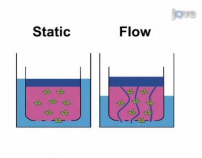 How the fluid between cells affects tumors | EurekAlert!
