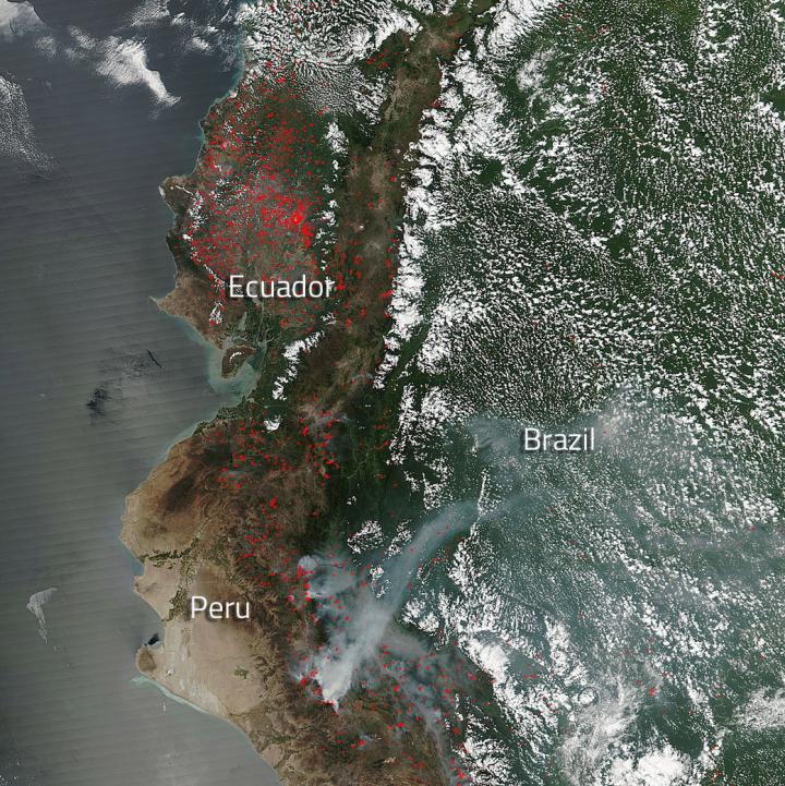 Fires Still Heating Up Ecuador [IMAGE] | EurekAlert! Science News Releases