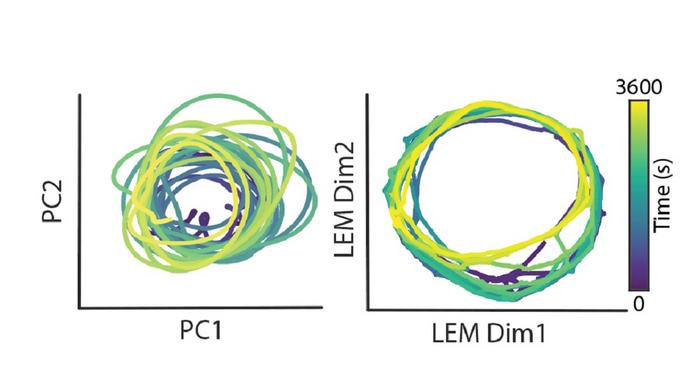 The_Ring Kavli Institute for S [IMAGE] | EurekAlert! Science News Releases
