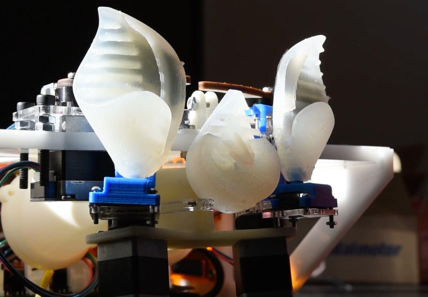 Bats have an ambulance in their ears | EurekAlert!