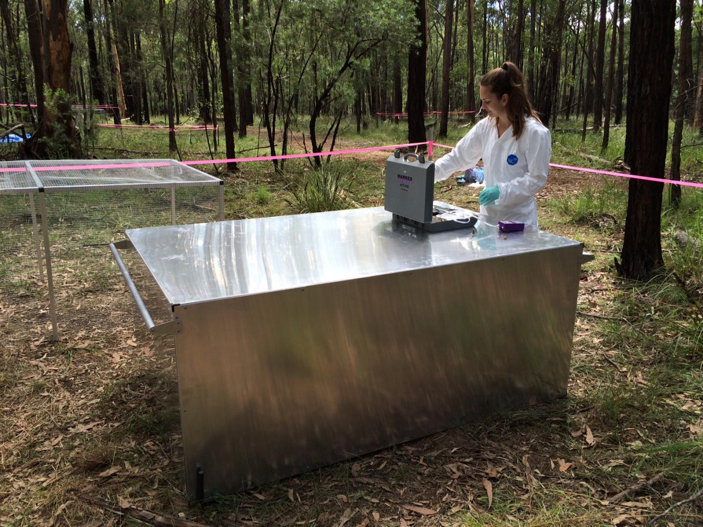 Sampling Decomposition Odor [IMAGE] | EurekAlert! Science News Releases