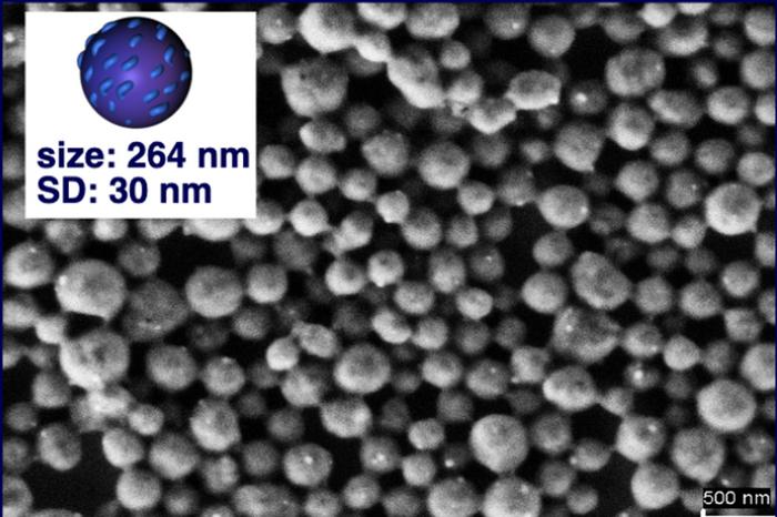 Shaping the future of polymer [IMAGE] | EurekAlert! Science News Releases
