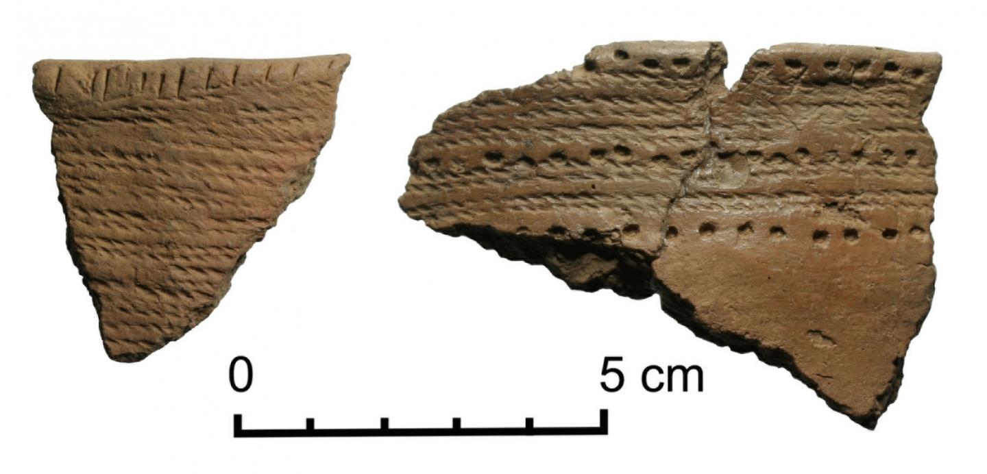 Neolithic Corded Ware Pottery [IMAGE] | EurekAlert! Science News Releases
