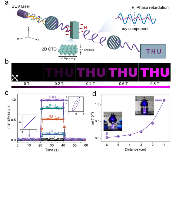 Deep-ultraviolet birefringent hydrogel based | EurekAlert!