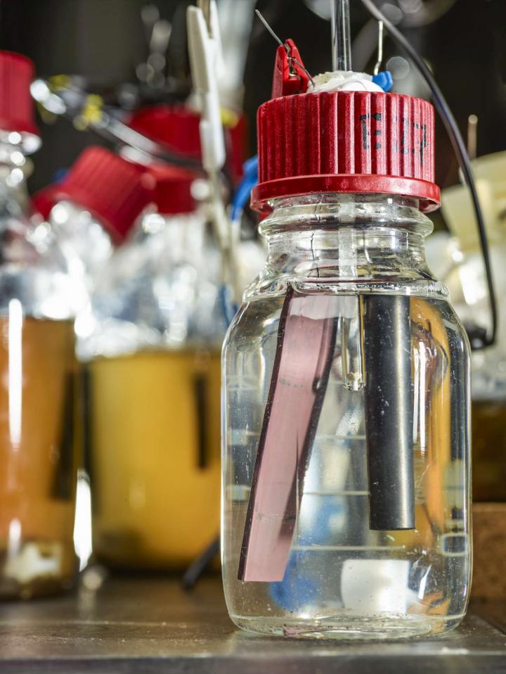 Bioelectrochemical processes have the potenti | EurekAlert!