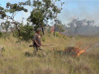 Study demonstrates that indigenous hunting wi | EurekAlert!