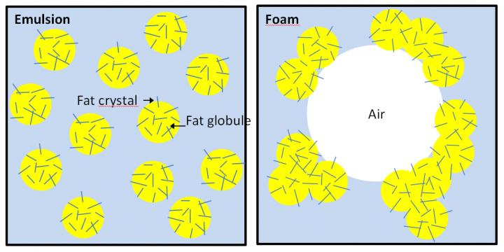 The Principle of Whipping Crea [IMAGE] | EurekAlert! Science News Releases