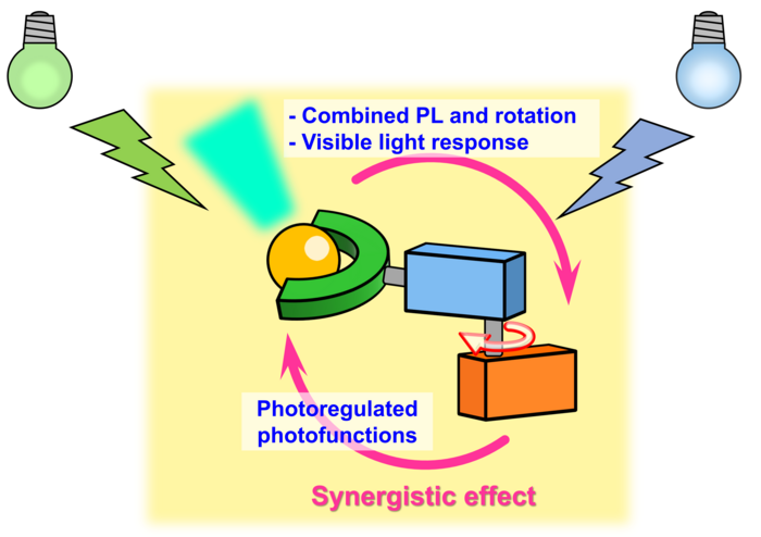 Molecular motor with fluoresce [IMAGE] | EurekAlert! Science News Releases
