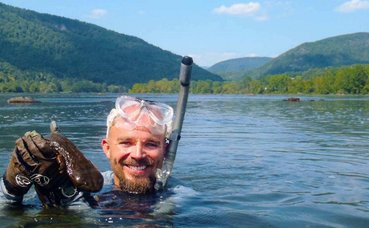 Researchers study eastern hellbender salamand | EurekAlert!