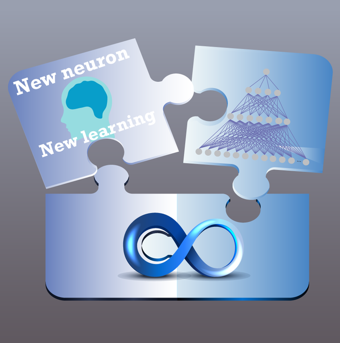 New brain learning mechanism calls for revisi | EurekAlert!