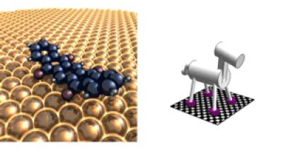 Walking Molecule (2 of 2) [IMAGE] | EurekAlert! Science News Releases