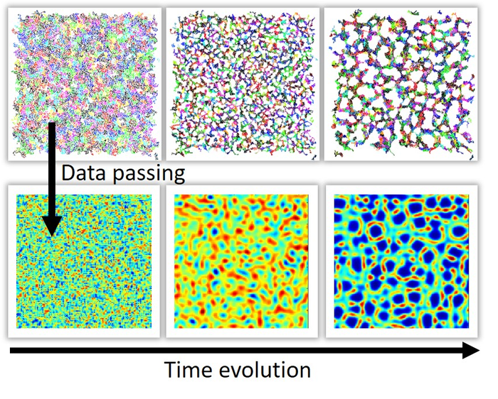 phase separation of macromolec [IMAGE] | EurekAlert! Science News Releases