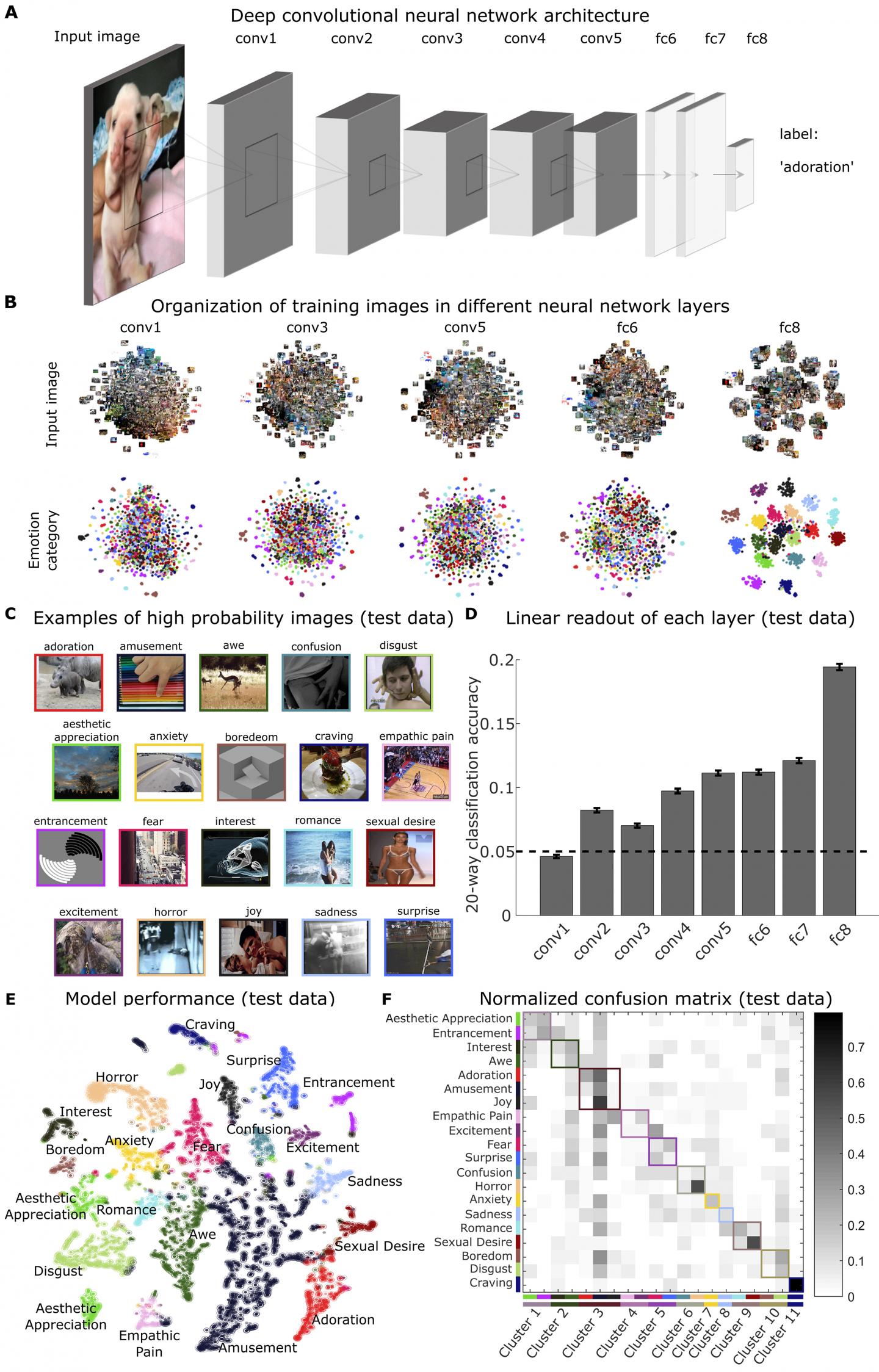Artificial Neural Network Reveals How Emotion Eurekalert