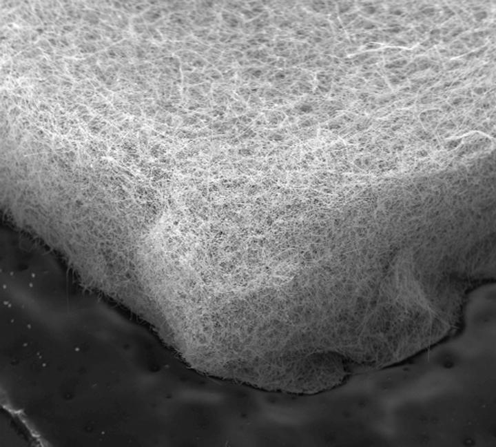 Nickel Felt electrode - micros [IMAGE] | EurekAlert! Science News Releases