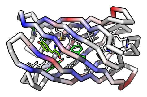 Beta Barrel Protein Model [IMAGE] | EurekAlert! Science News Releases