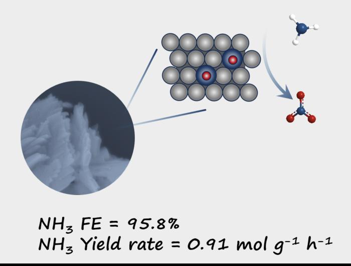 Efficient nitrate electroreduction over Mn-do | EurekAlert!