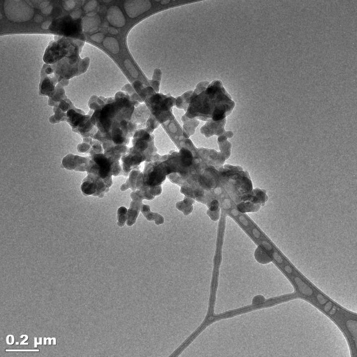 Black Carbon [IMAGE] | EurekAlert! Science News Releases