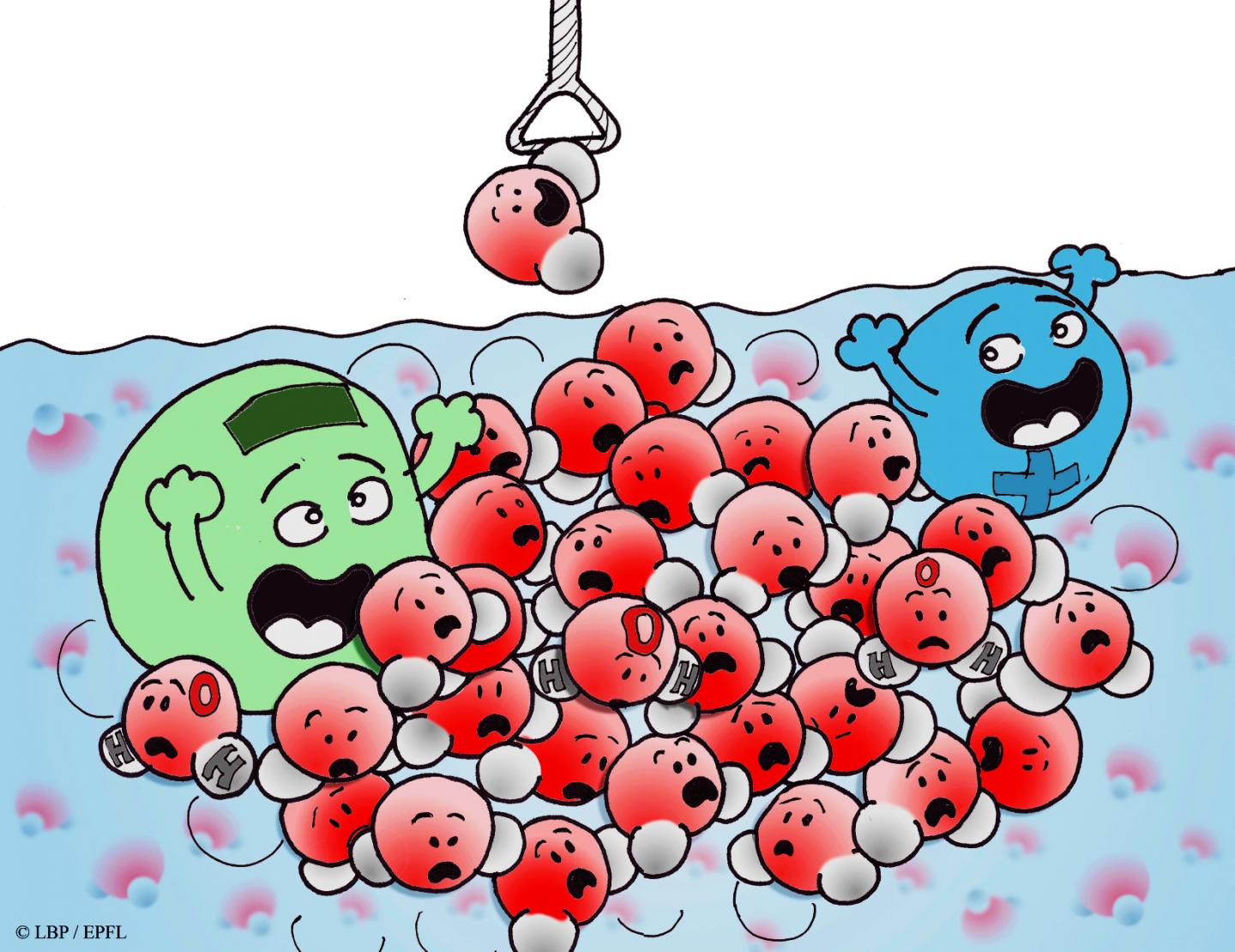A single ion impacts a million water molecule | EurekAlert!