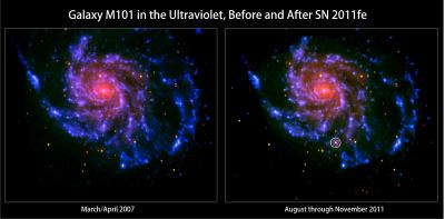 Supernova 2011fe in M101 [IMAGE] | EurekAlert! Science News Releases