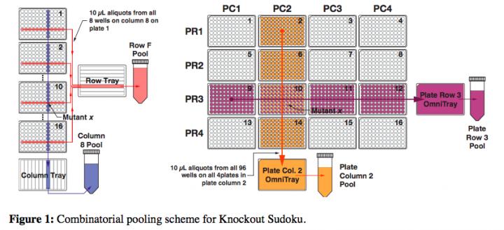 Combinatorial Pooling Scheme [IMAGE] | EurekAlert! Science News Releases