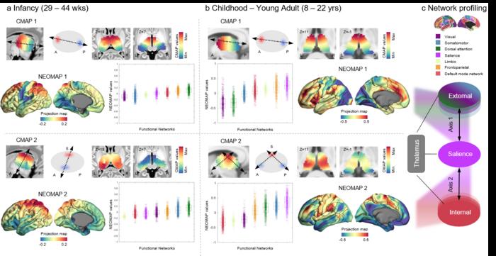 Figure 1 [IMAGE] | EurekAlert! Science News Releases