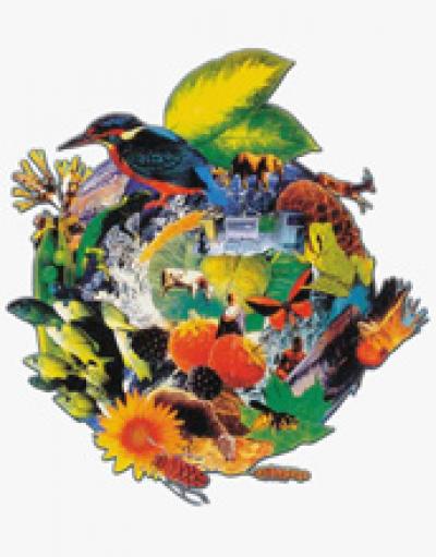 Illustration of Animals and Pl [IMAGE] | EurekAlert! Science News Releases