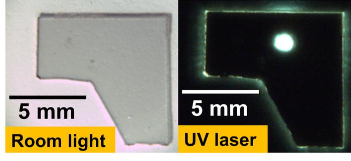 Fig. 1 [IMAGE] | EurekAlert! Science News Releases