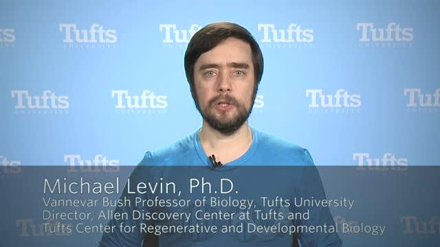 Artificial intelligence uncovers new insight | EurekAlert!