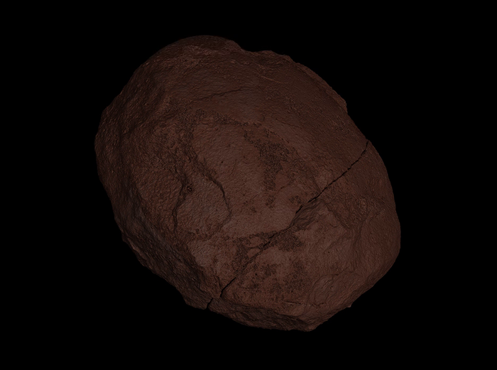 Early dinosaurs were sociable | EurekAlert!