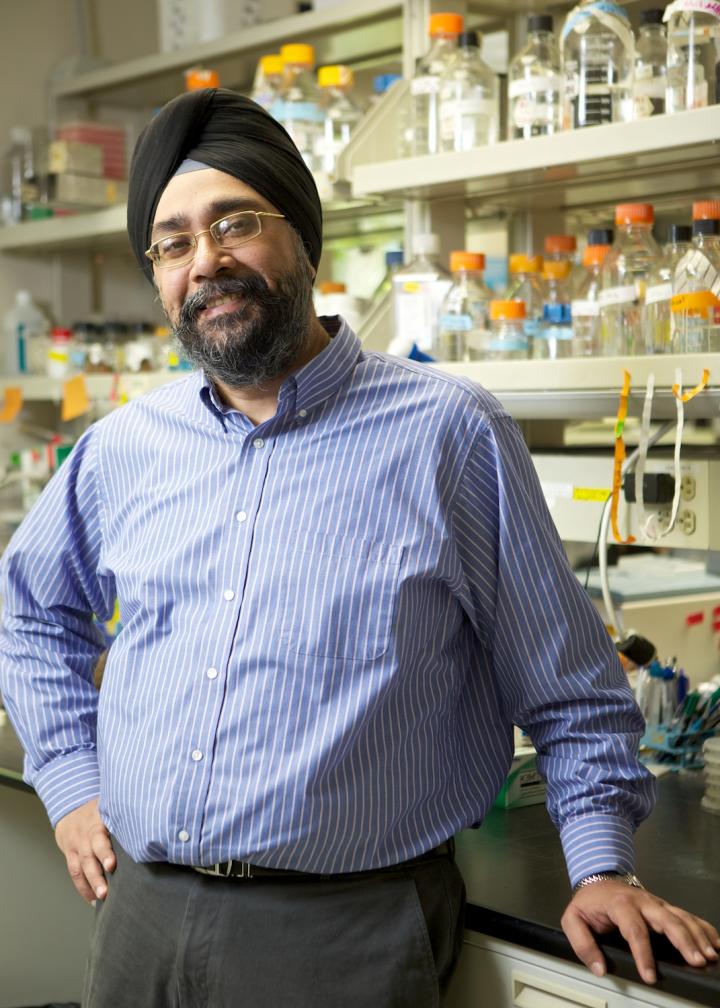 Harmit Malik, Fred Hutchinson [IMAGE] | EurekAlert! Science News Releases