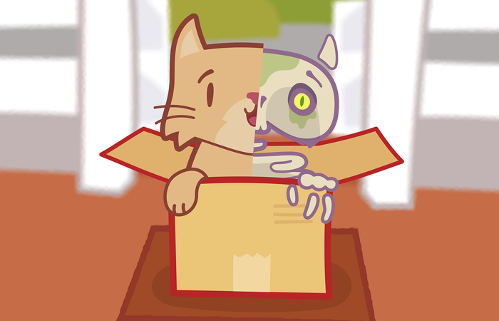 It's rattling in the box! Game app "Kitty Q" | EurekAlert!