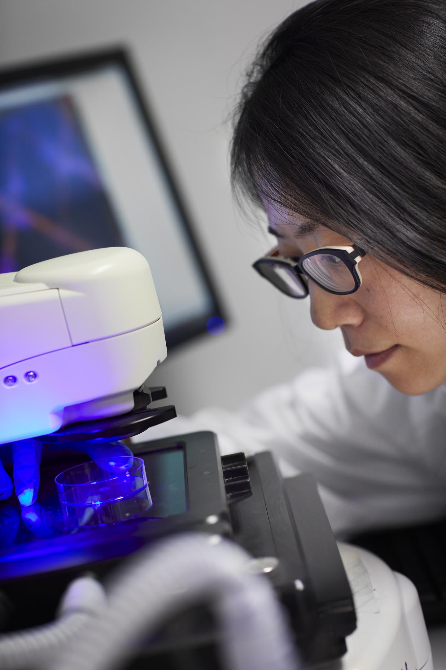 Menglin Chen 2 [IMAGE] | EurekAlert! Science News Releases