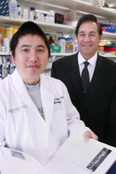 UT Southwestern scientists identify potential | EurekAlert!