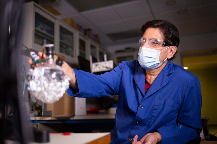 Illinois Tech Professor Phil T [IMAGE] | EurekAlert! Science News Releases