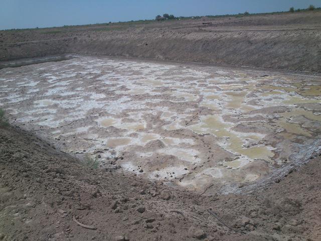 Saving Salt Polluted Freshwater Ecosystems (5 | EurekAlert!