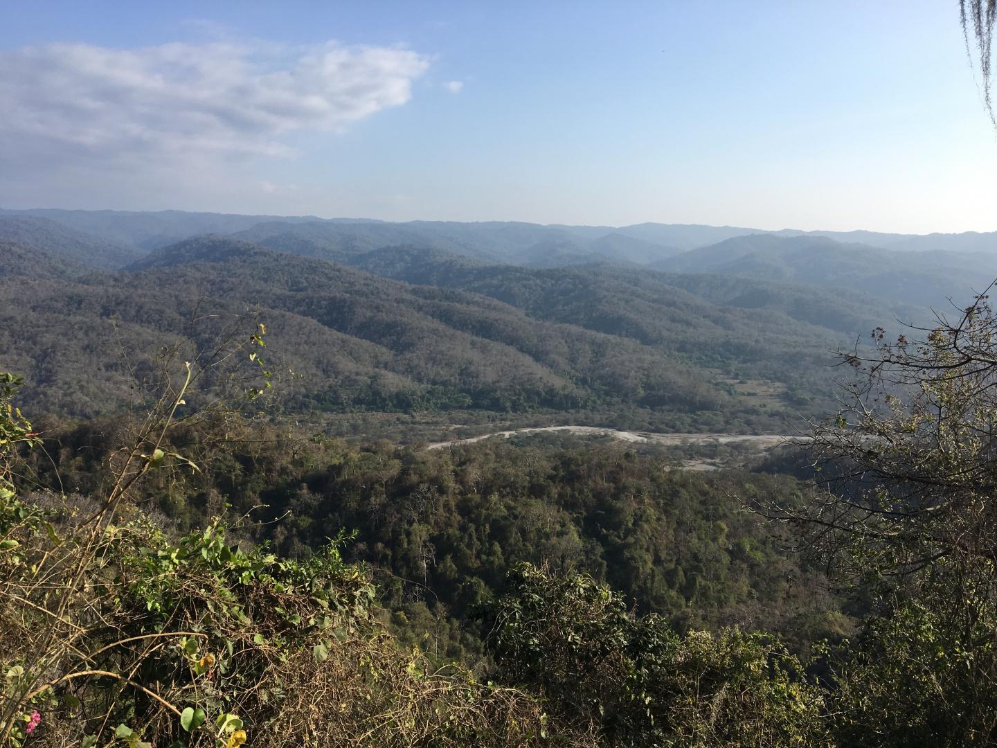 Seasonally dry tropical forest [IMAGE] | EurekAlert! Science News Releases