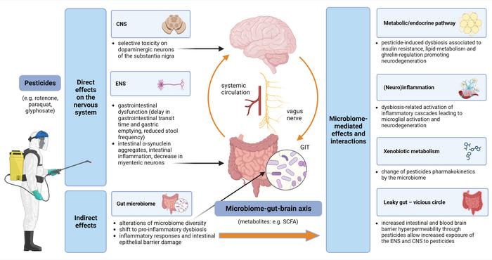 Convergent pathways -microbiom [IMAGE] | EurekAlert! Science News Releases