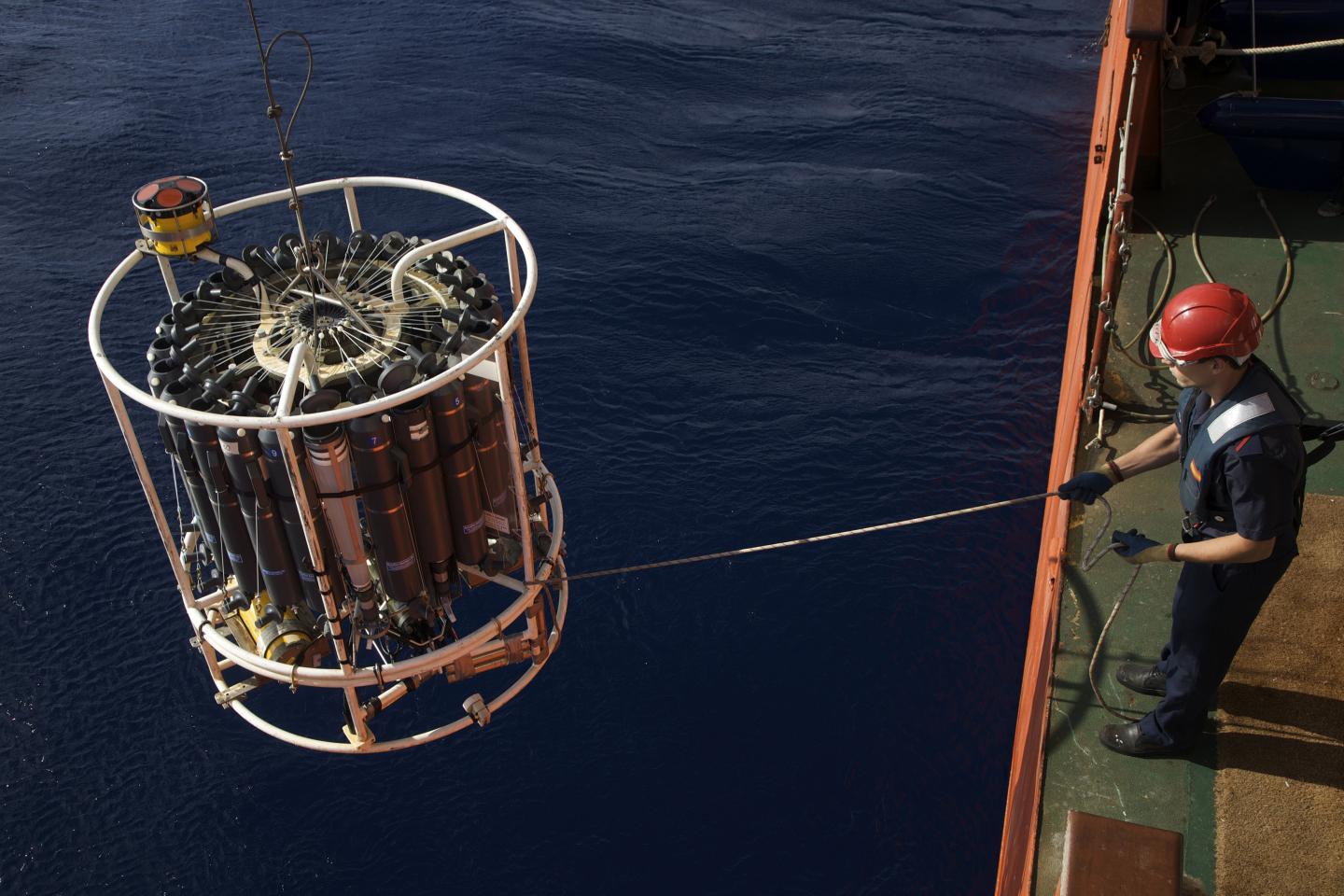 Viruses Play a More Active Role in Deep Sea T | EurekAlert!