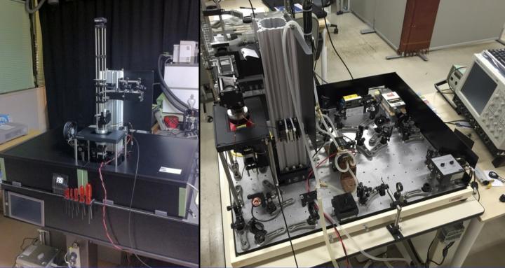 The TOAD and MIM Imaging Micro [IMAGE] | EurekAlert! Science News Releases