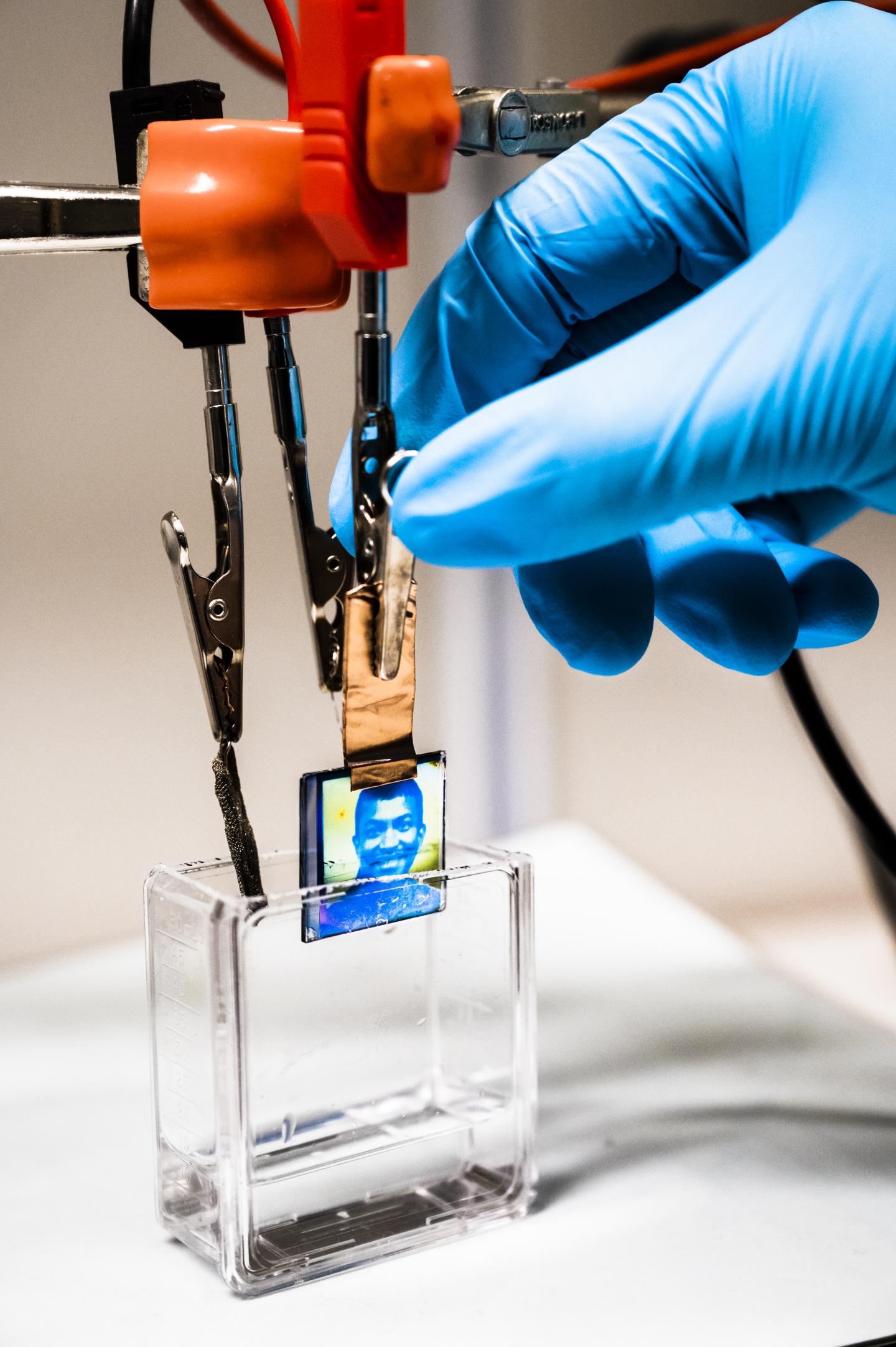 Reflective colour displays [IMAGE] | EurekAlert! Science News Releases