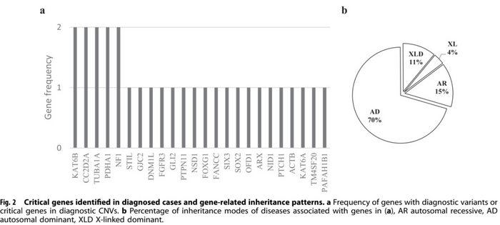 29 genes identified in diagnos [IMAGE] | EurekAlert! Science News Releases