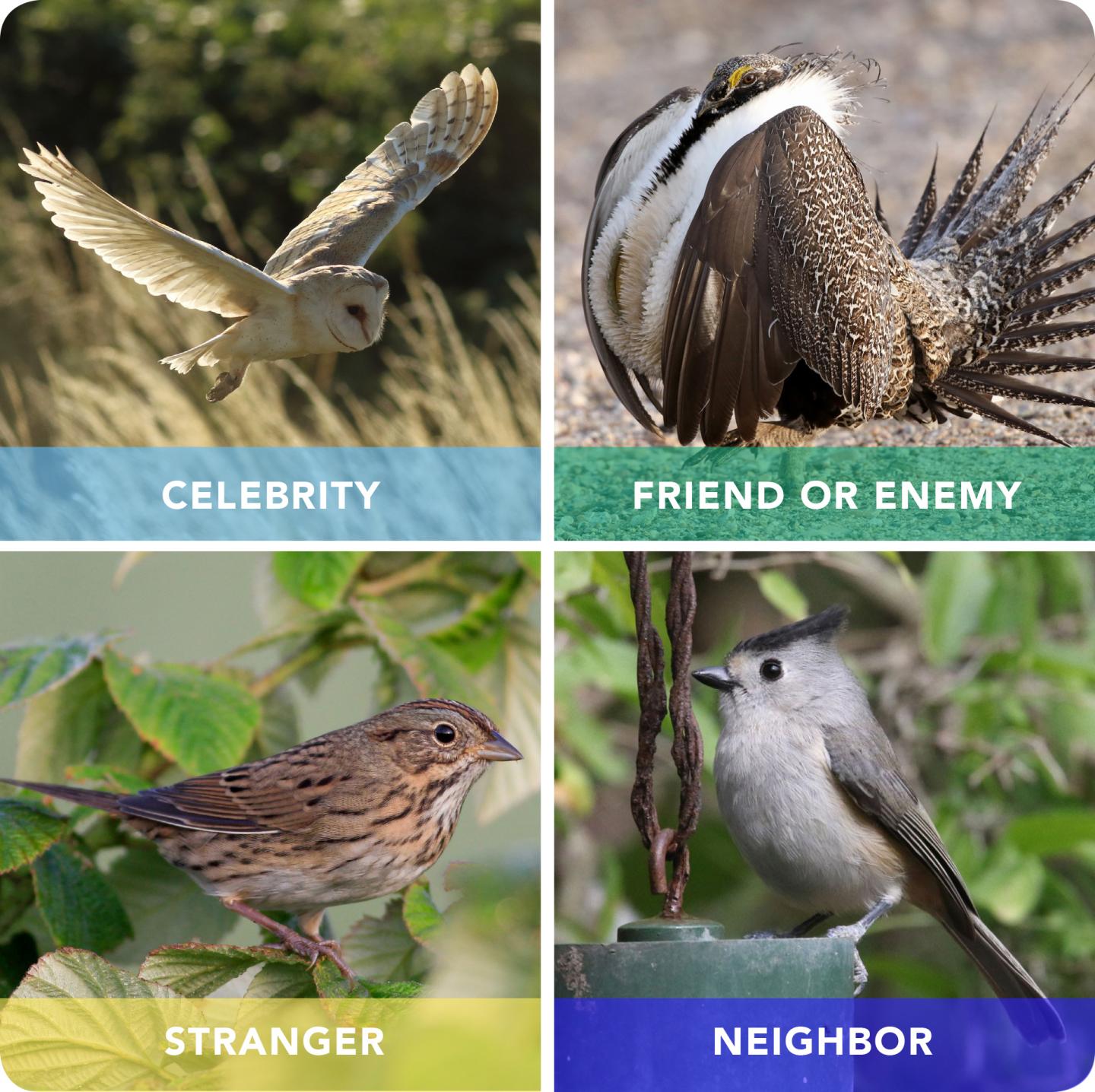 Niche Science Market Research For Niche Identification FasterCapital