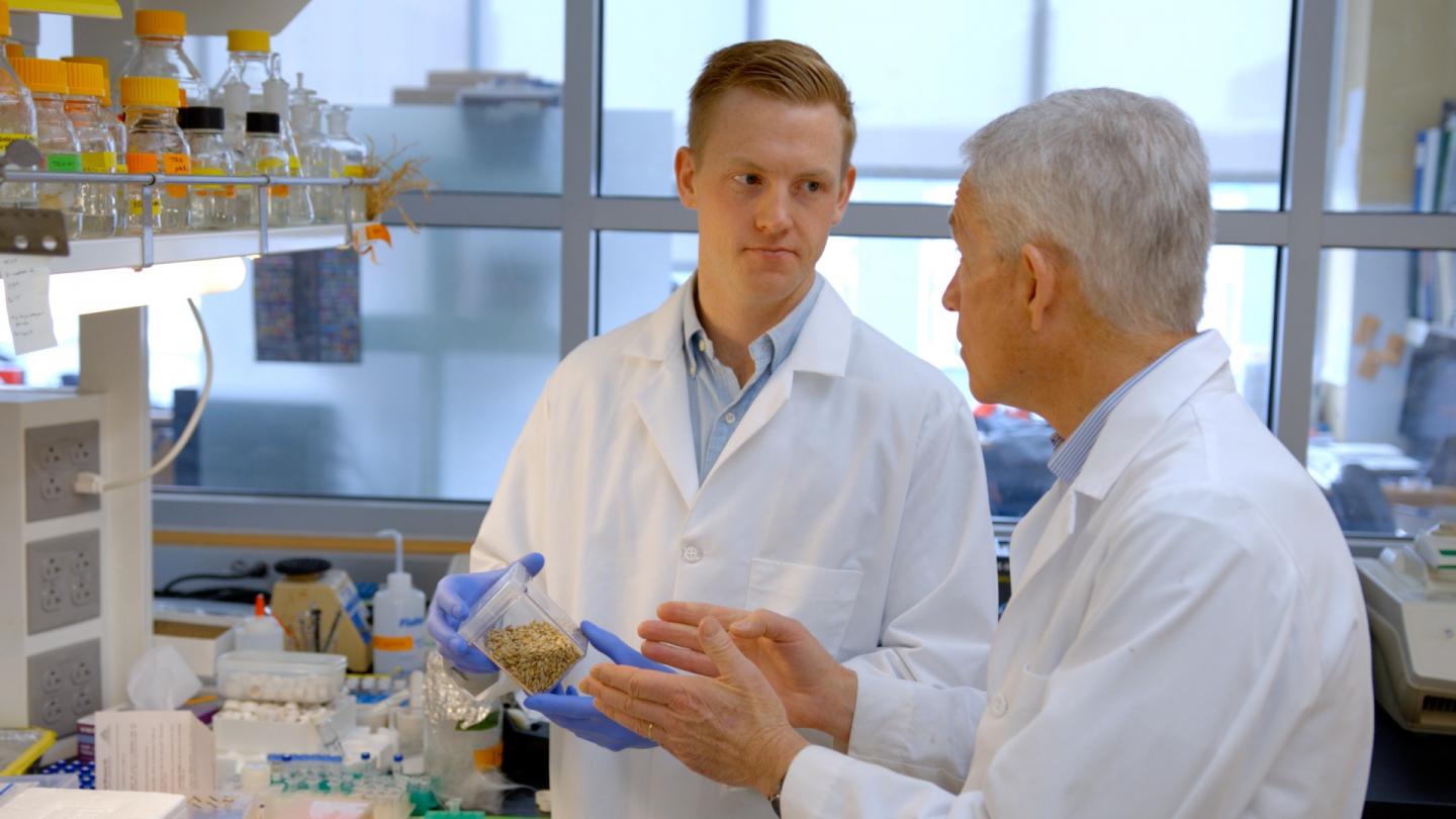 Chase Kempinski and Joe Chappe [IMAGE] | EurekAlert! Science News Releases