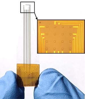 Microelectrode Array [IMAGE] | EurekAlert! Science News Releases