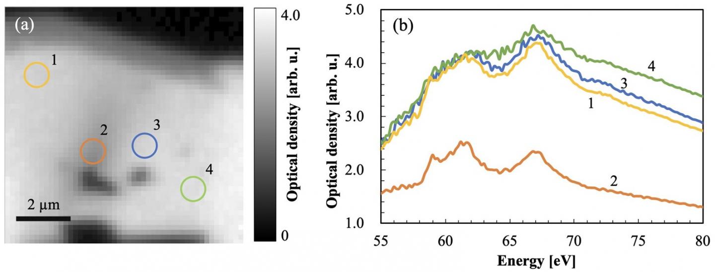 STXM results [IMAGE] | EurekAlert! Science News Releases